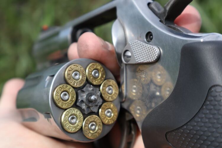 Smith & Wesson 686+ 2.5-inch Revolver: The Shootable Snubbie - Inside ...