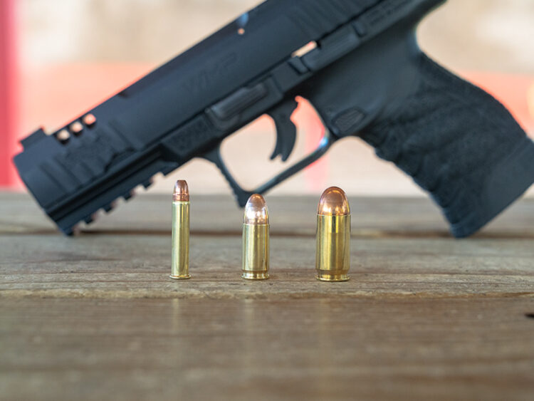 .22 WMR: Does It Have A Place in This World? - Inside Safariland