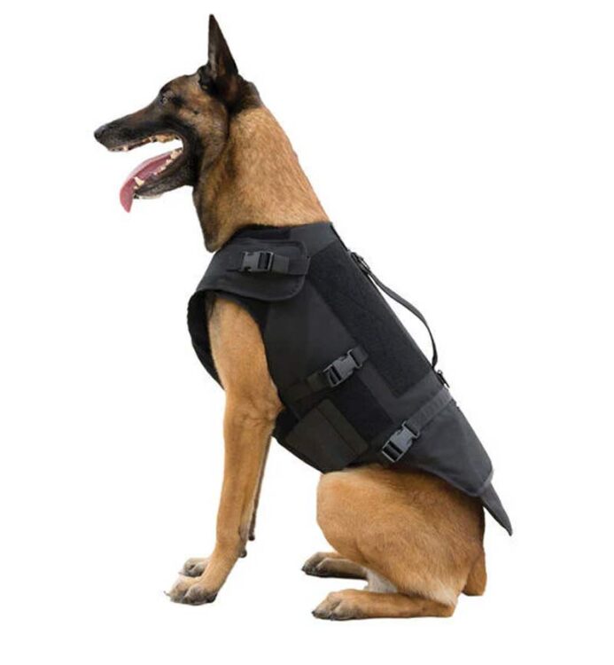 Man's Best Friend and Law Enforcement: The History of K9 Units - Inside ...