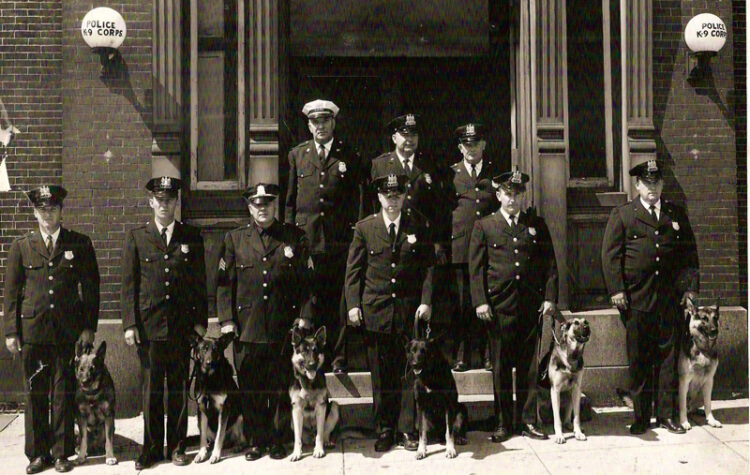 Man's Best Friend and Law Enforcement: The History of K9 Units - Inside ...