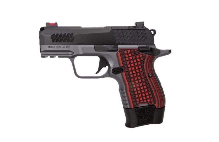 The New Kimber CDS9: An All Metal Microcompact - Inside Safariland