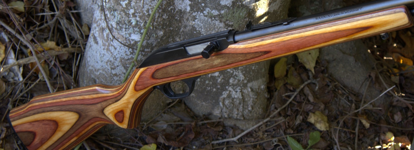 Rimfire Rifles in Survival Situations: The Good, Bad, and Ugly - Inside ...