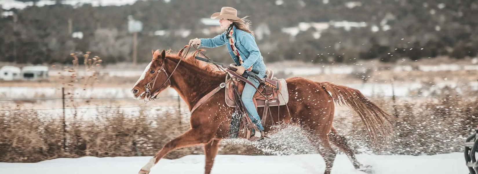 Henry Lever Action Supreme Rifle: A Modern Classic - Inside Safariland