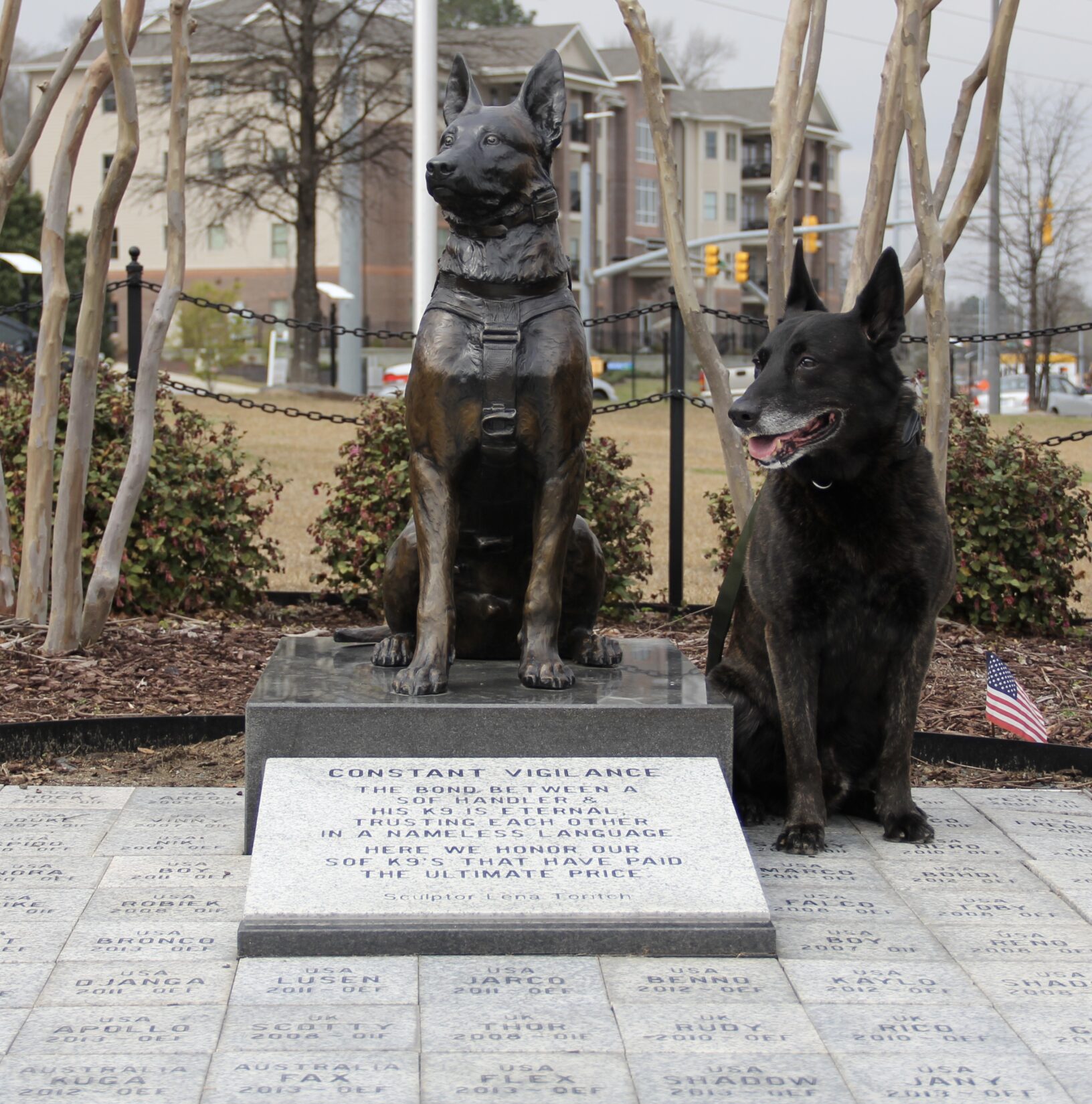 Honoring our Fallen SOF K9's - Inside Safariland