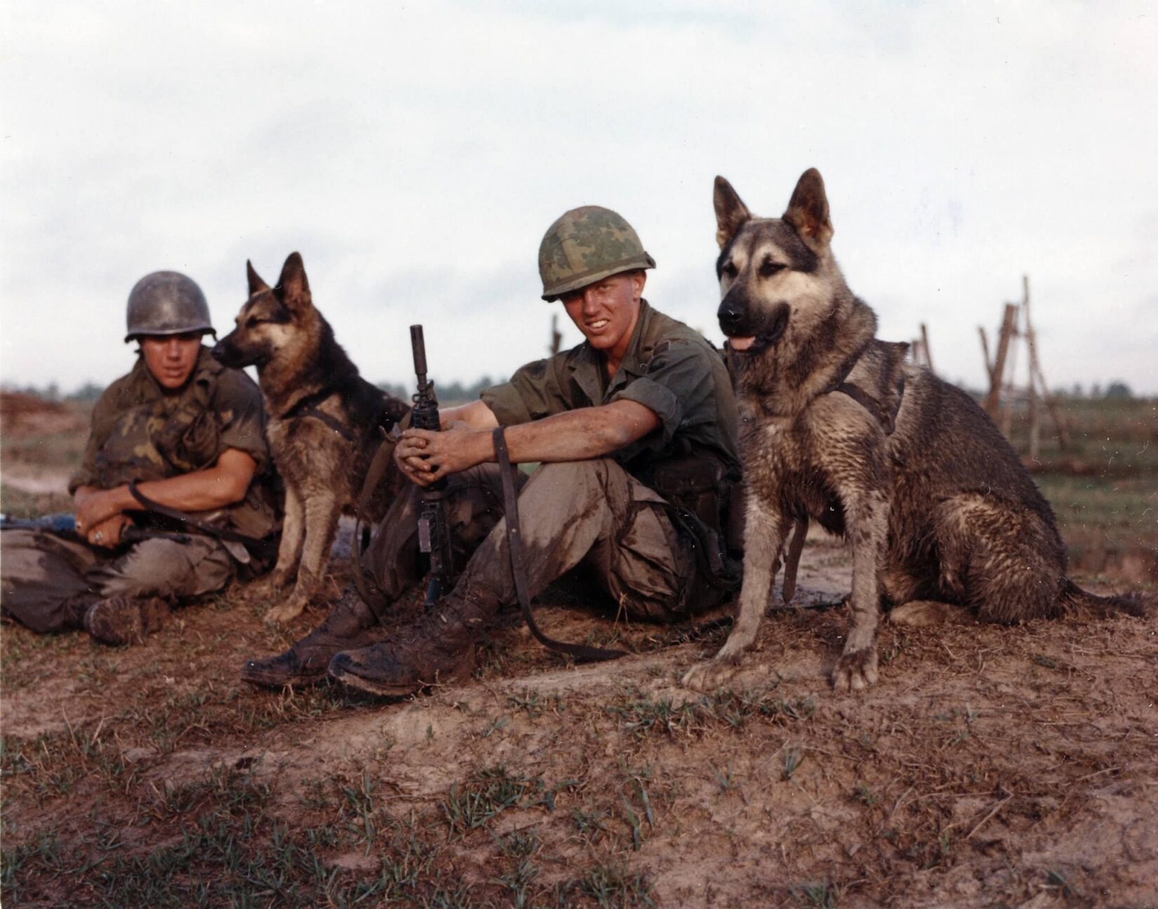 HISTORY OF THE WAR DOGS: COLD WAR - Inside Safariland
